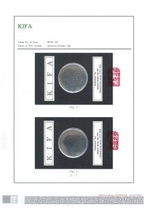 Quantum Energy Pad | Biomat Health